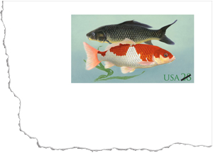 USPS New Issues (Stamp News Now)